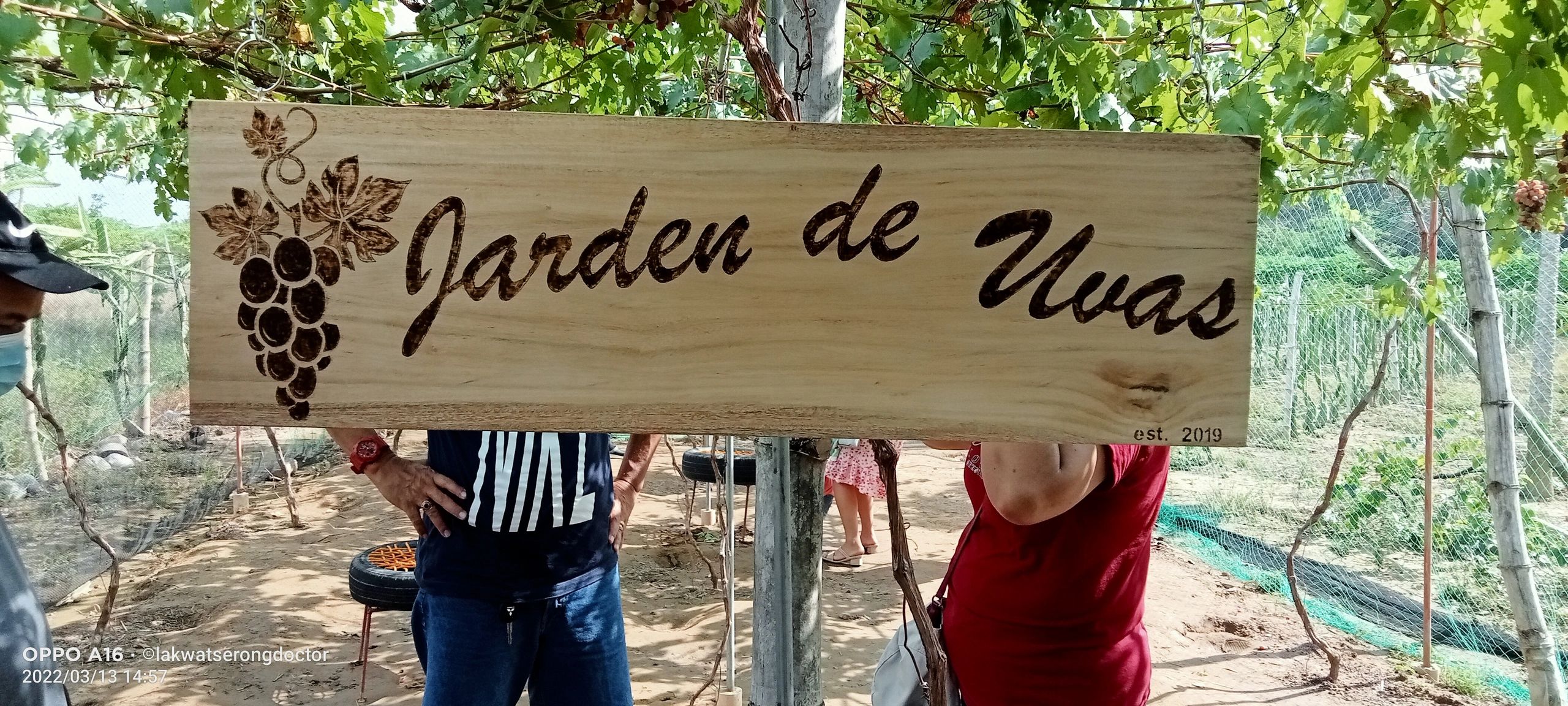 GRAPE PICKING AT JARDEN DE UVAS, LEON ILOILO