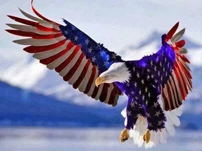 WDF Construction - Home Improvement, Home Repair