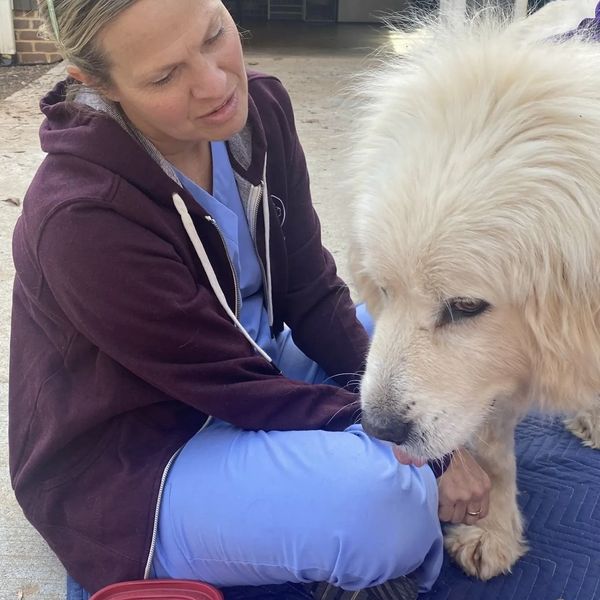 home Mobile Veterinary Service