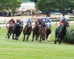 Greg Foley Racing Stable