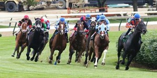 Greg Foley Racing Stable