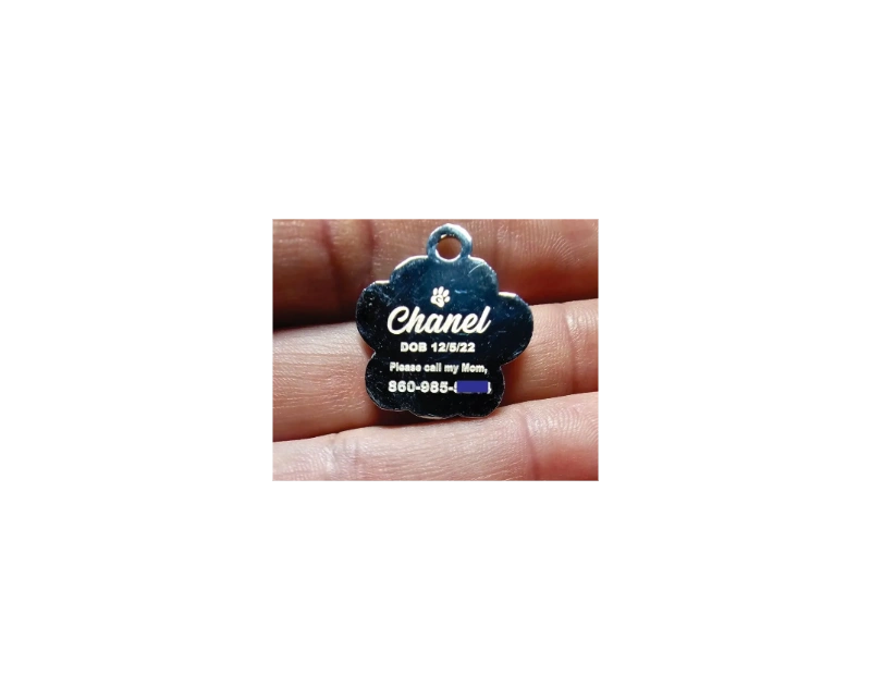 Gallery | CT Laser Customs