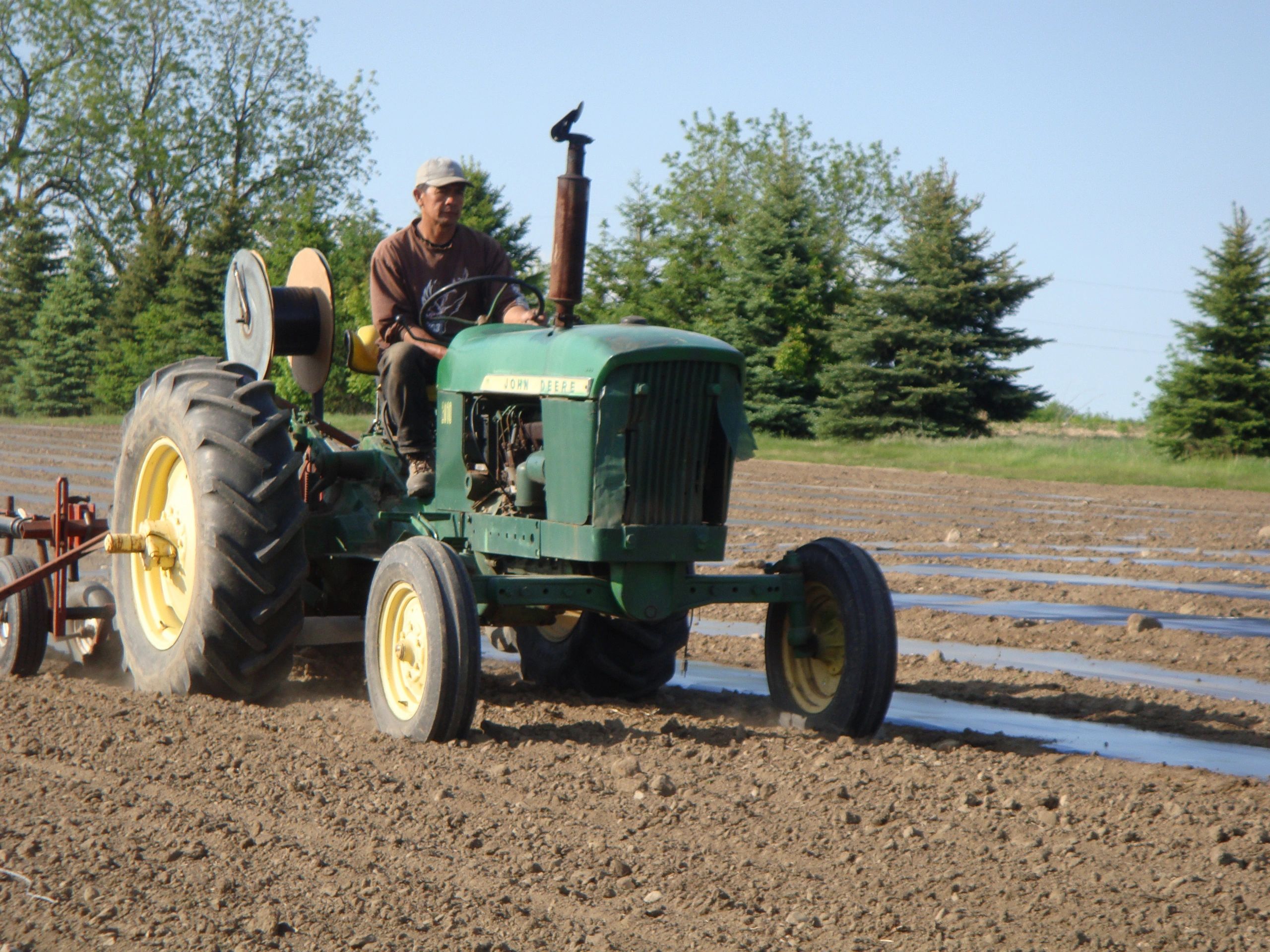 Judy's Tropical Garden