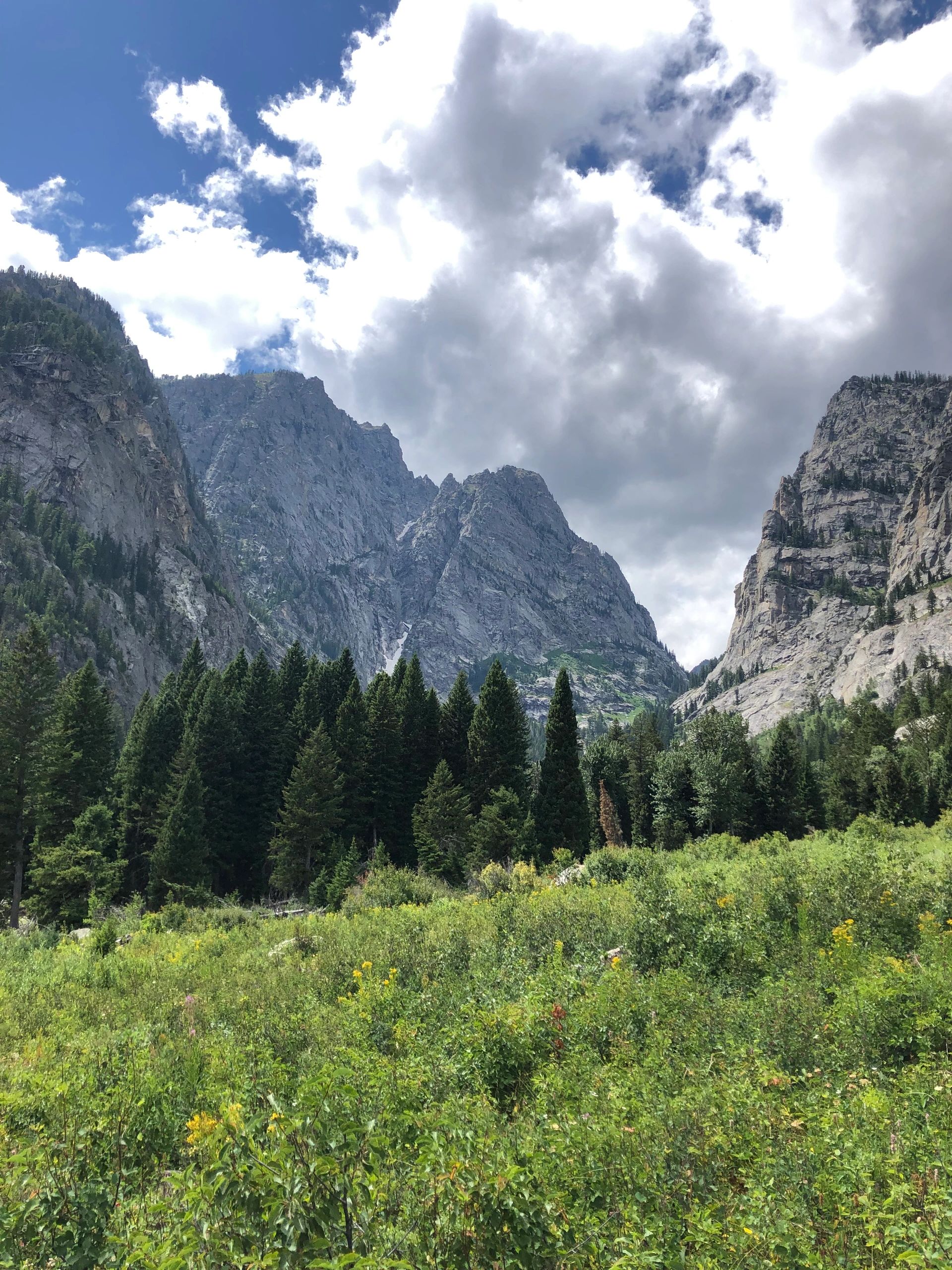 Bravura - Bravura Capital, Private Equity, Kent Weldon