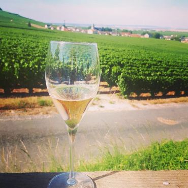 Paysan - Wine Bar - Chester, England