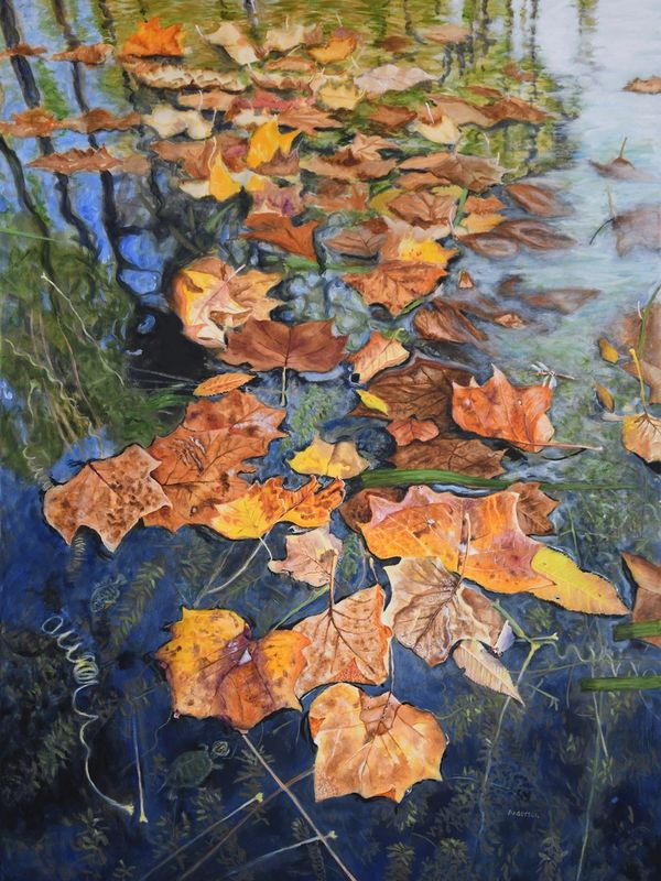 Paintings by Gary Anderson