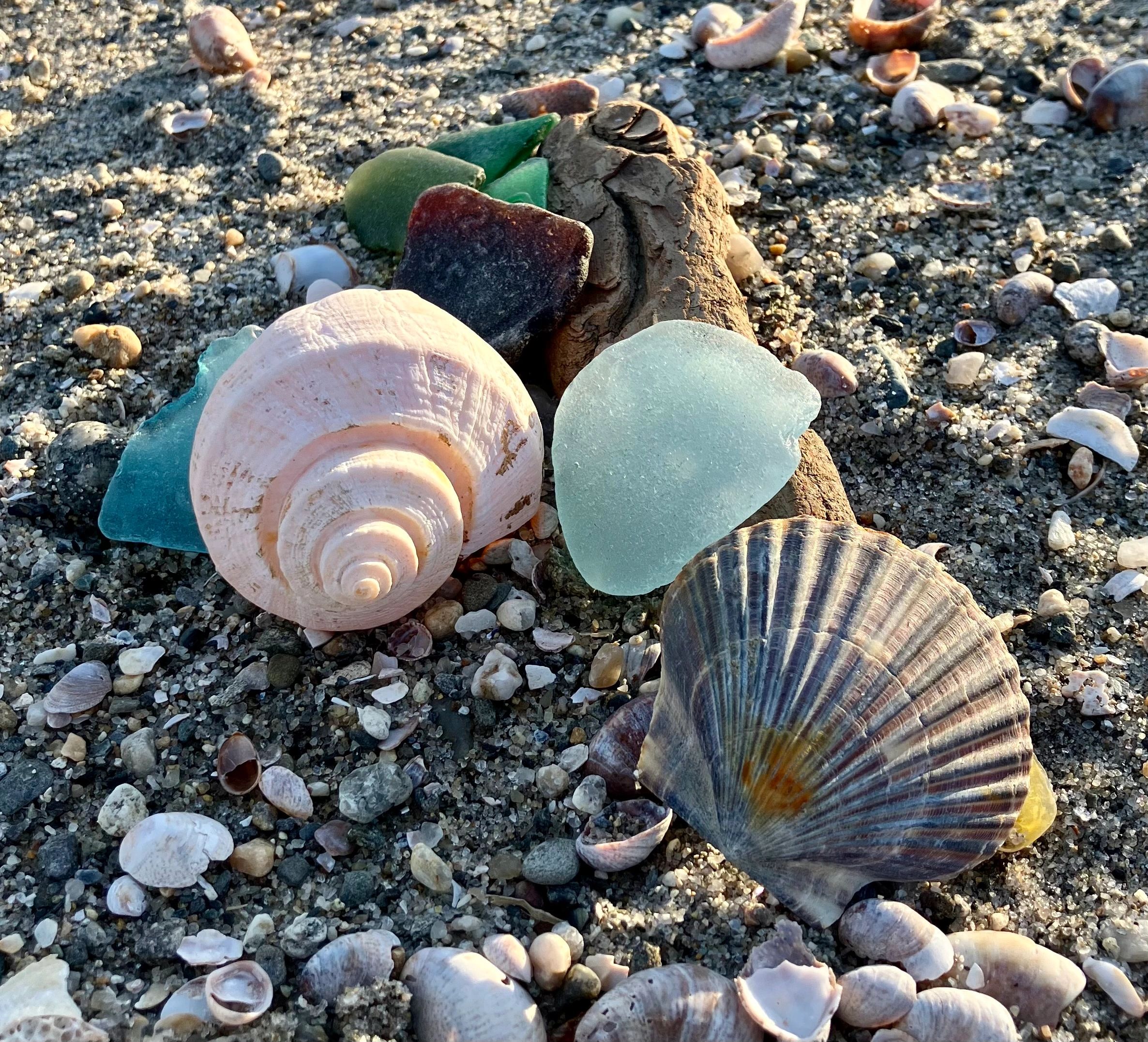 Beach Treasures by Erin