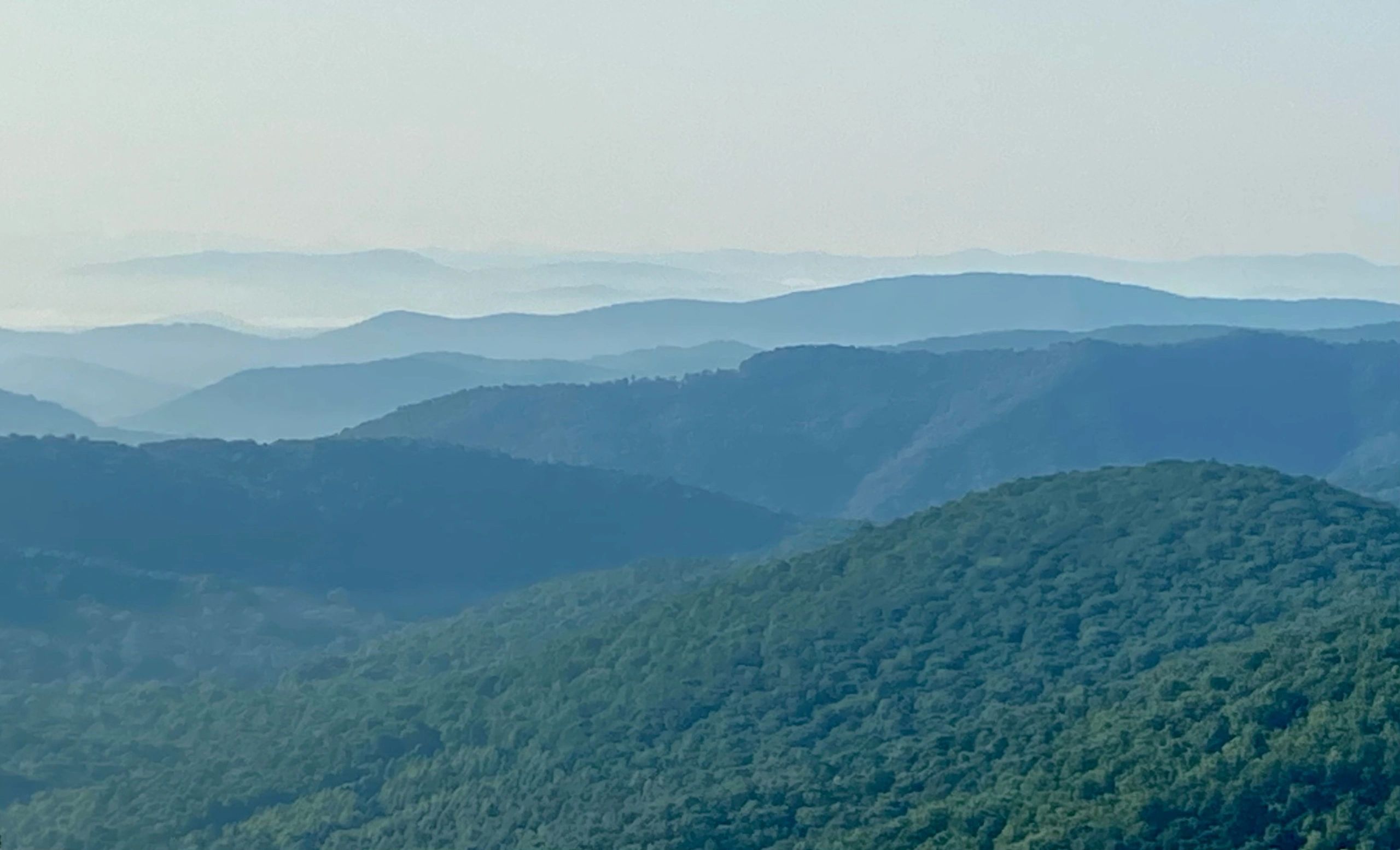 Martin E. Moore, Attorney at Law - Home