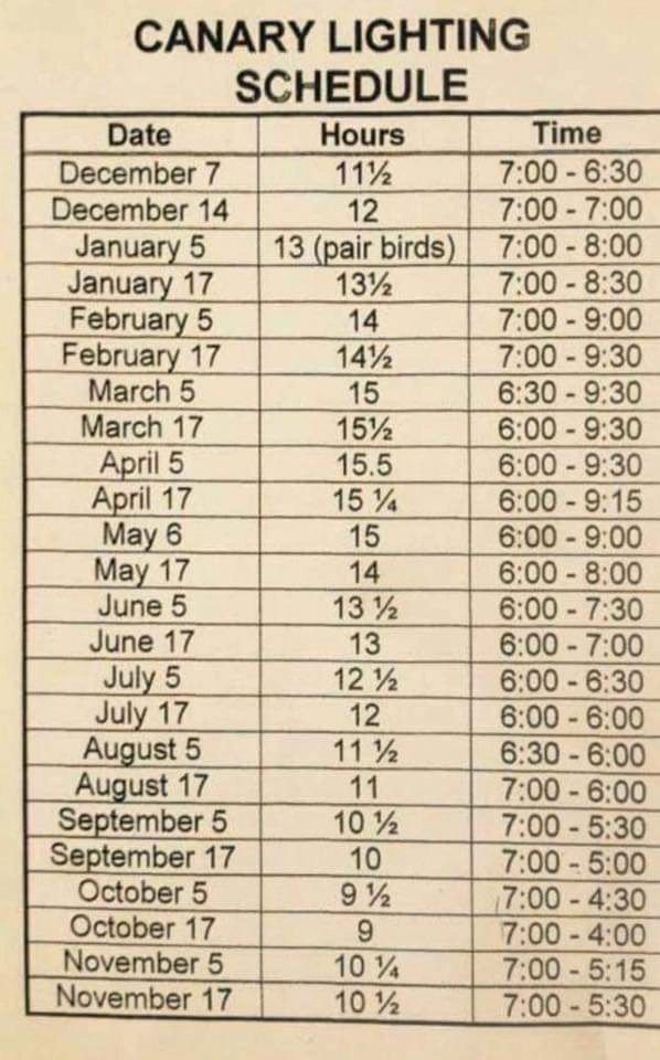 canary breeding lighting schedule chart