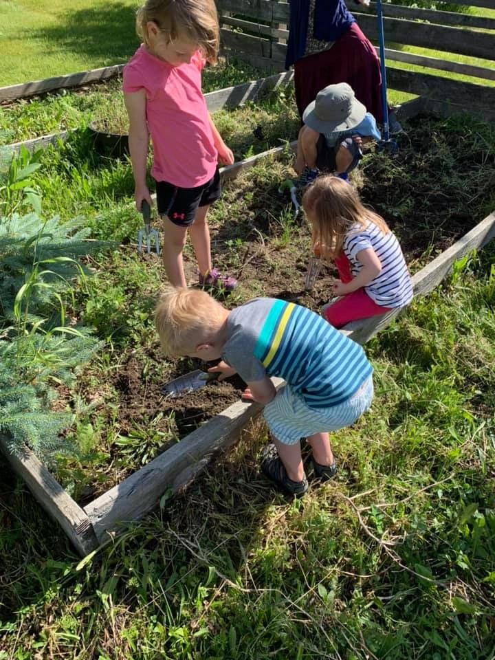 5 Garden to Table Activities for Little Kids