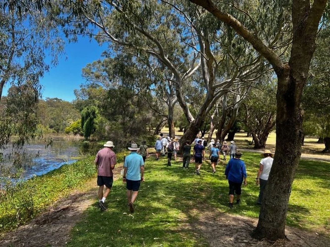 Friends of Perry Lakes