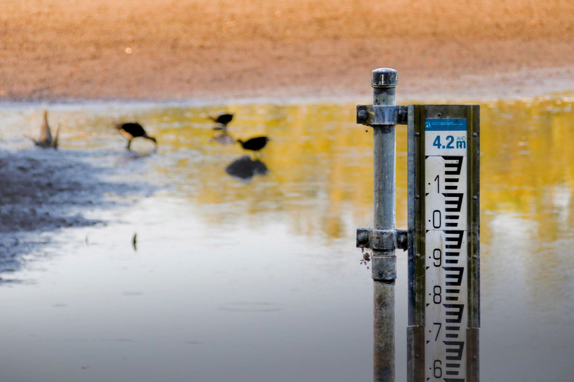 What is Australian Height Datum (AHD)