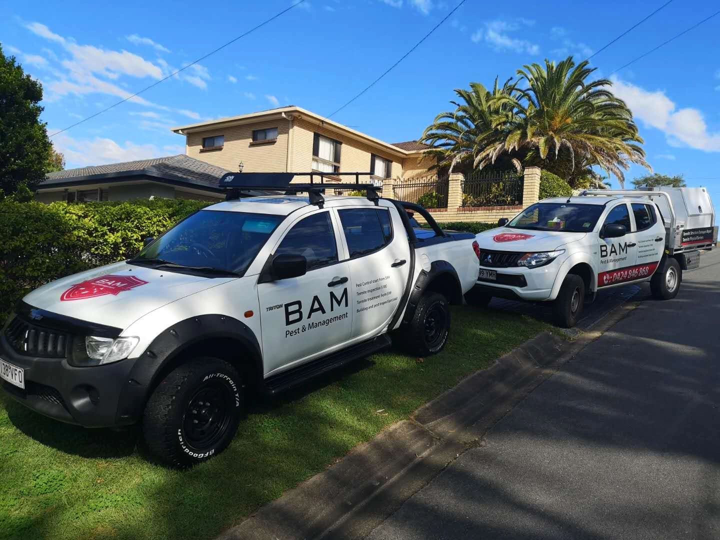 BAM PEST MANAGEMENT - Pest Control, Termite Treatment