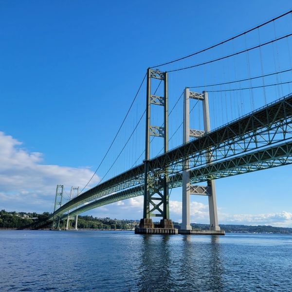 Discover Puget Sound Cruises with Sound Boat Tours