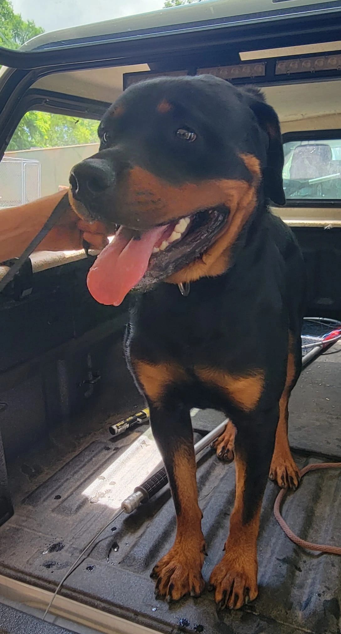 BCAC is at FULL KENNEL CAPACITY