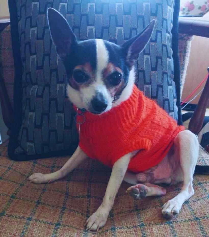 Wishbone is still available