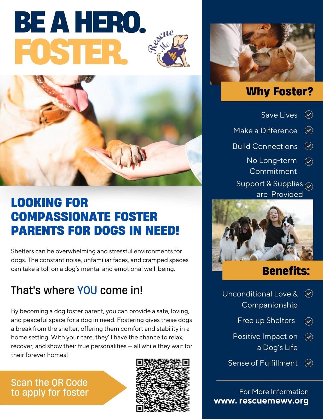 We need foster and foster to adopt homes!