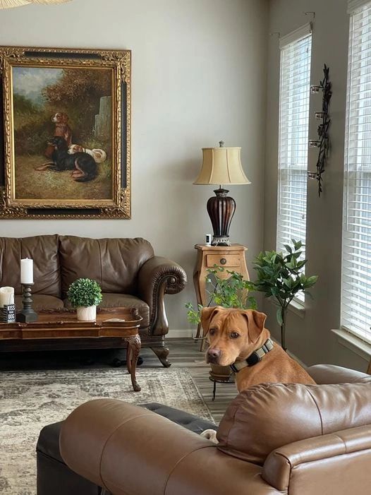 Ruby with a Foster Family