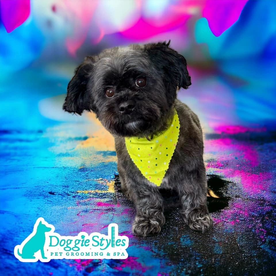 Thanks to Doggie Styles Pet Grooming & Spa!