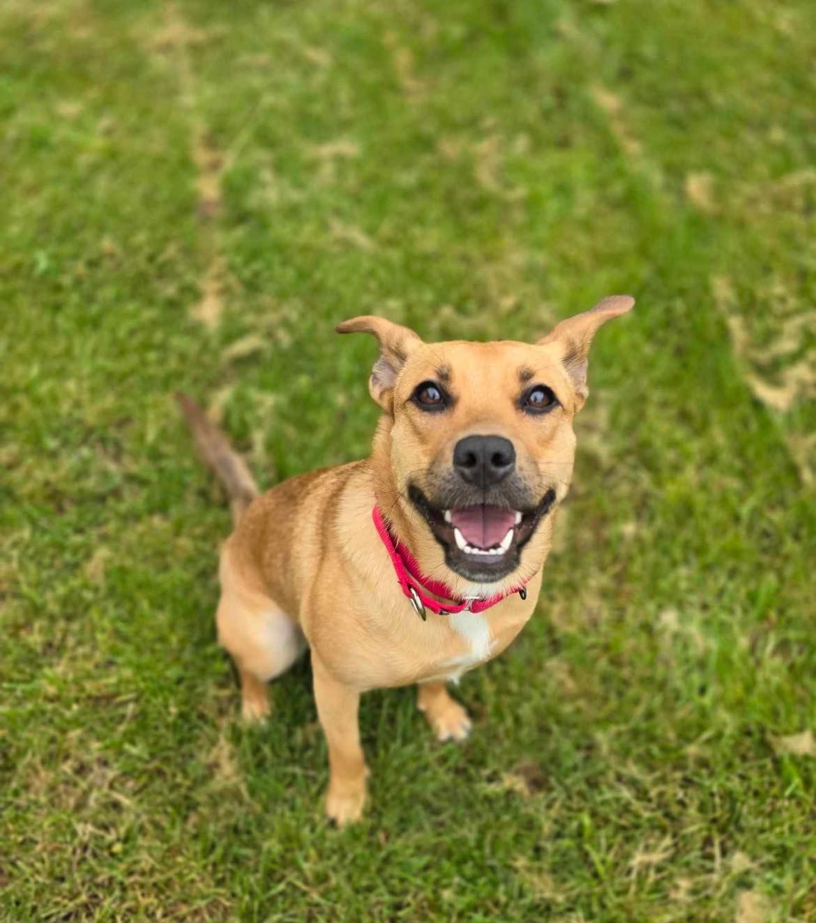 Welcome Luna to RMWV!