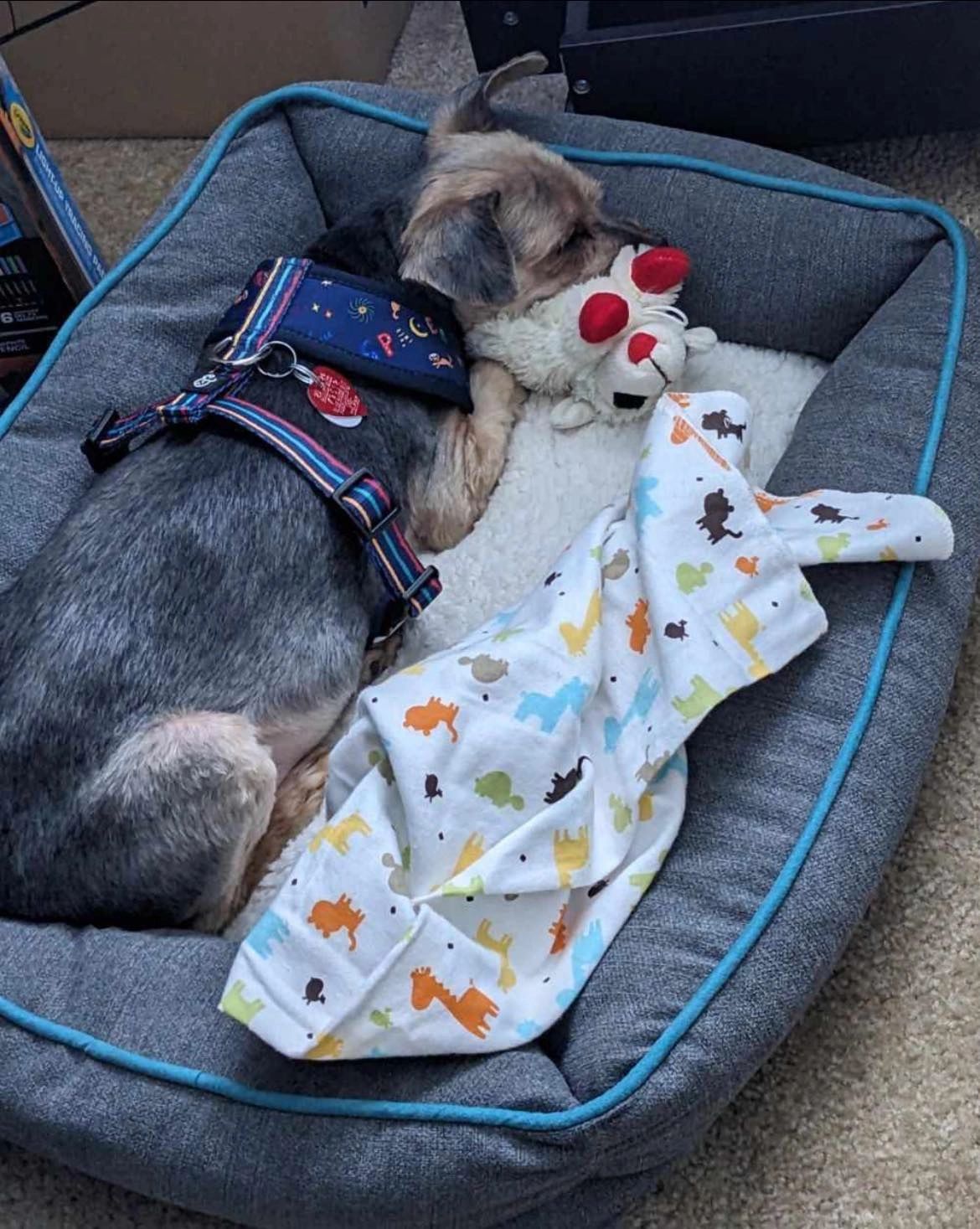 Update on senior boy Spencer!