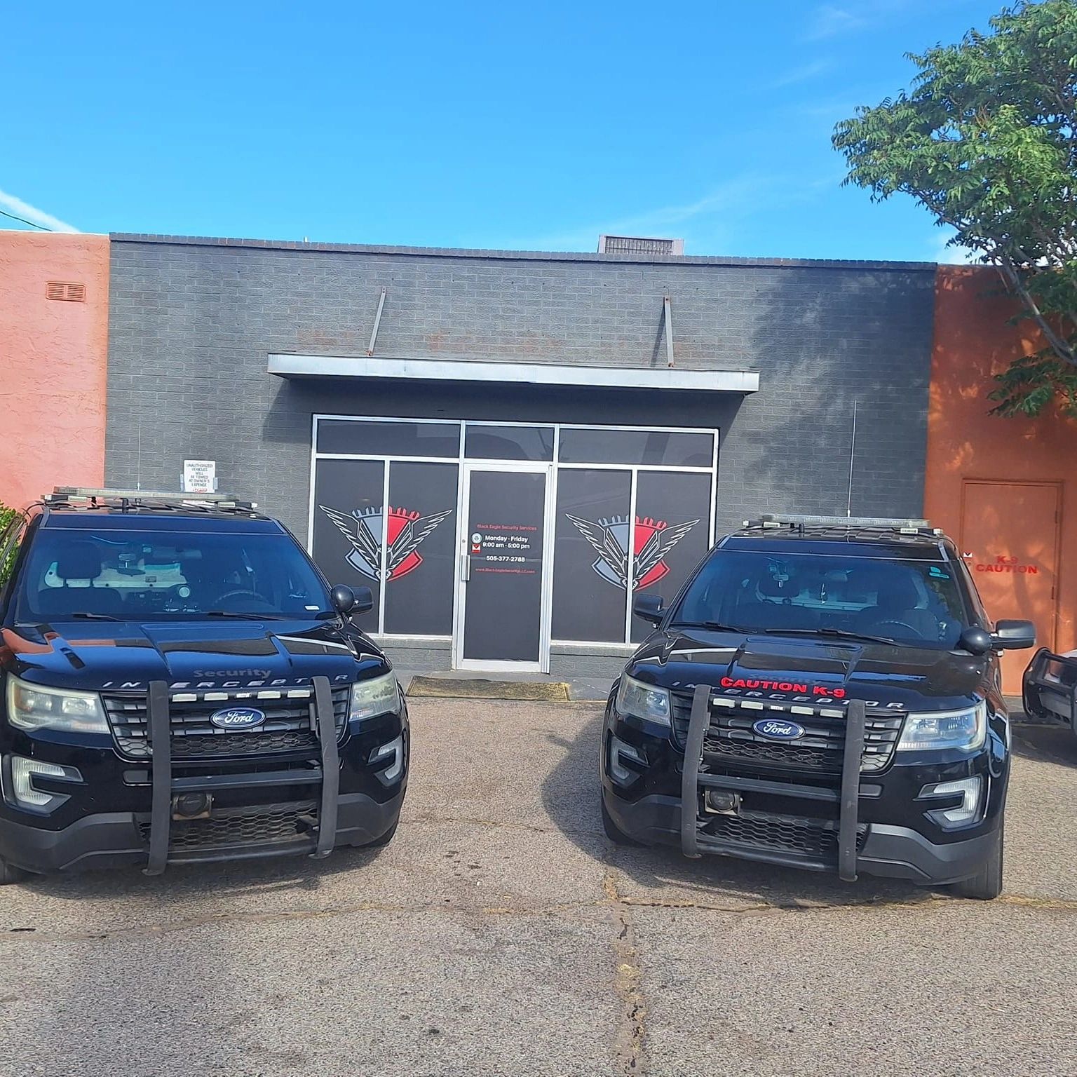 Black Eagle Security LLC