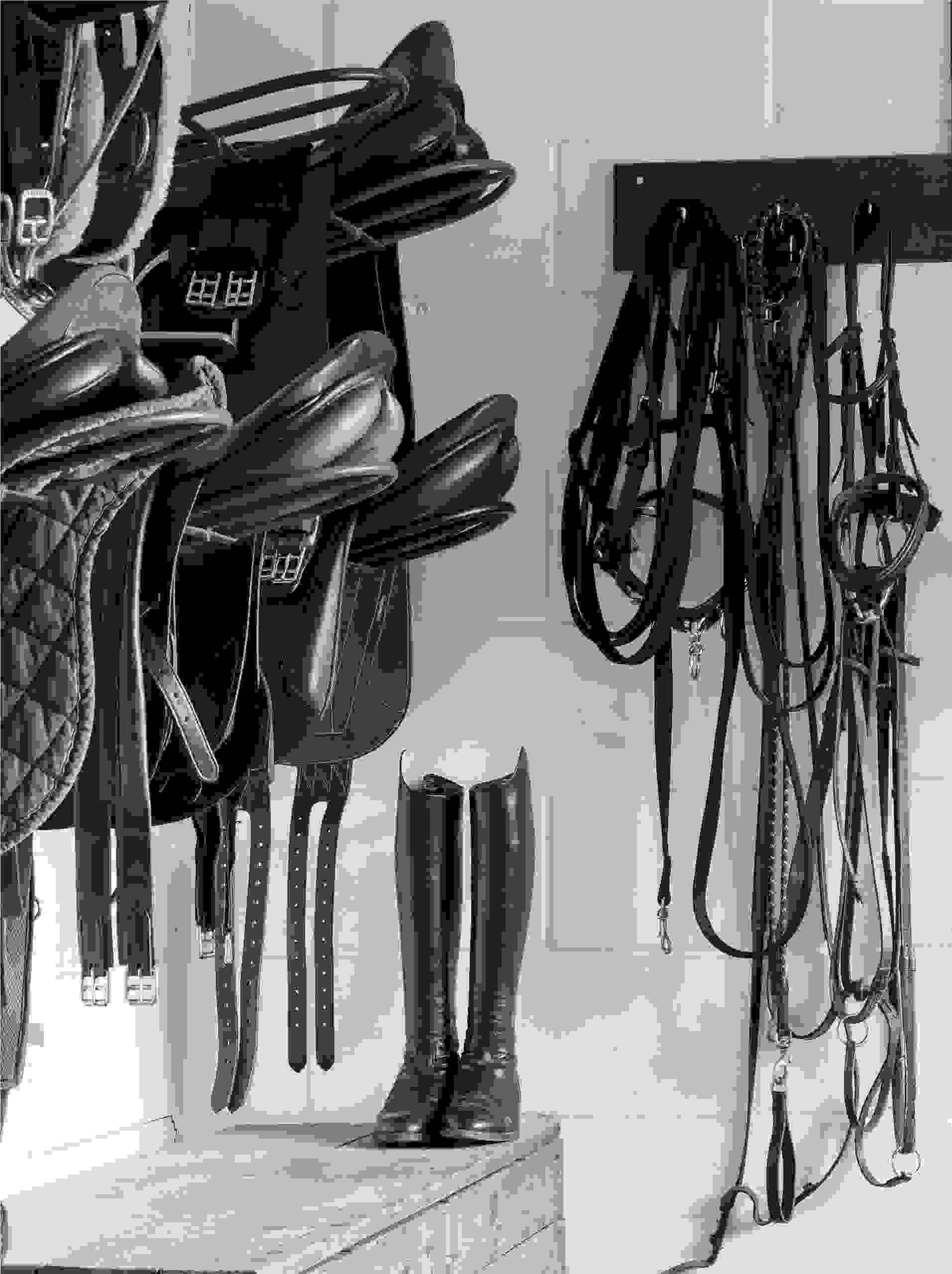 Pisano Riding Boot Repair