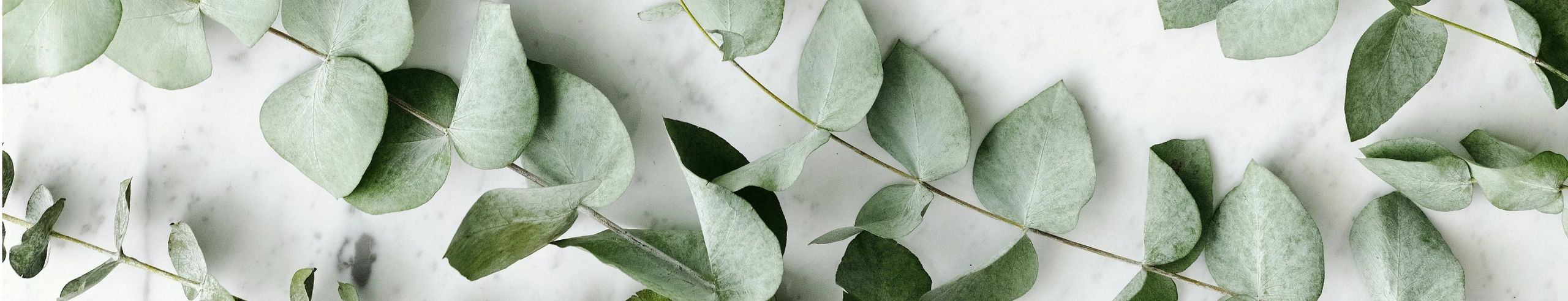 Counseling Indianapolis, IN - Amber Kinney LMHC