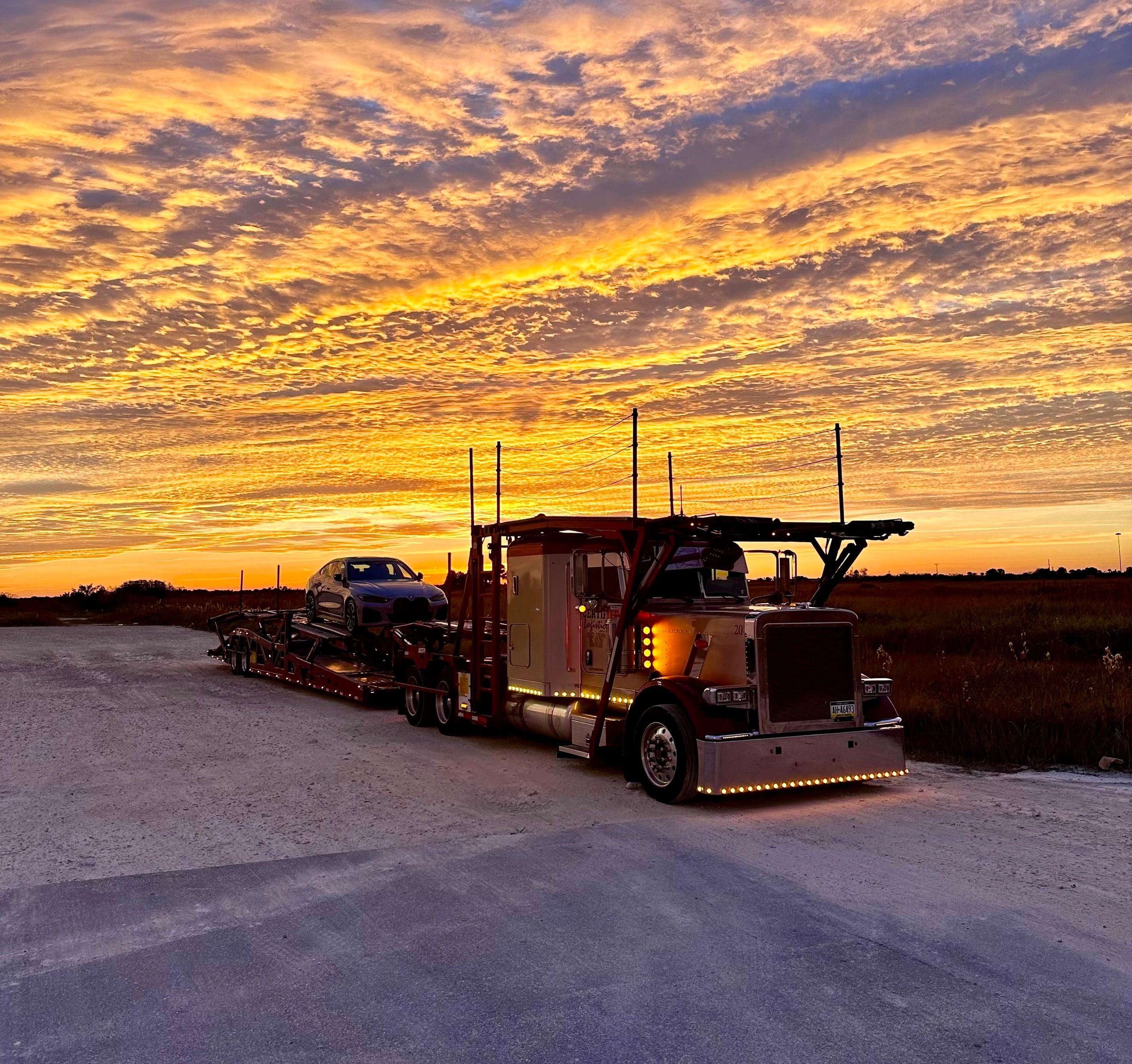 Expert Vehicle Transport Services