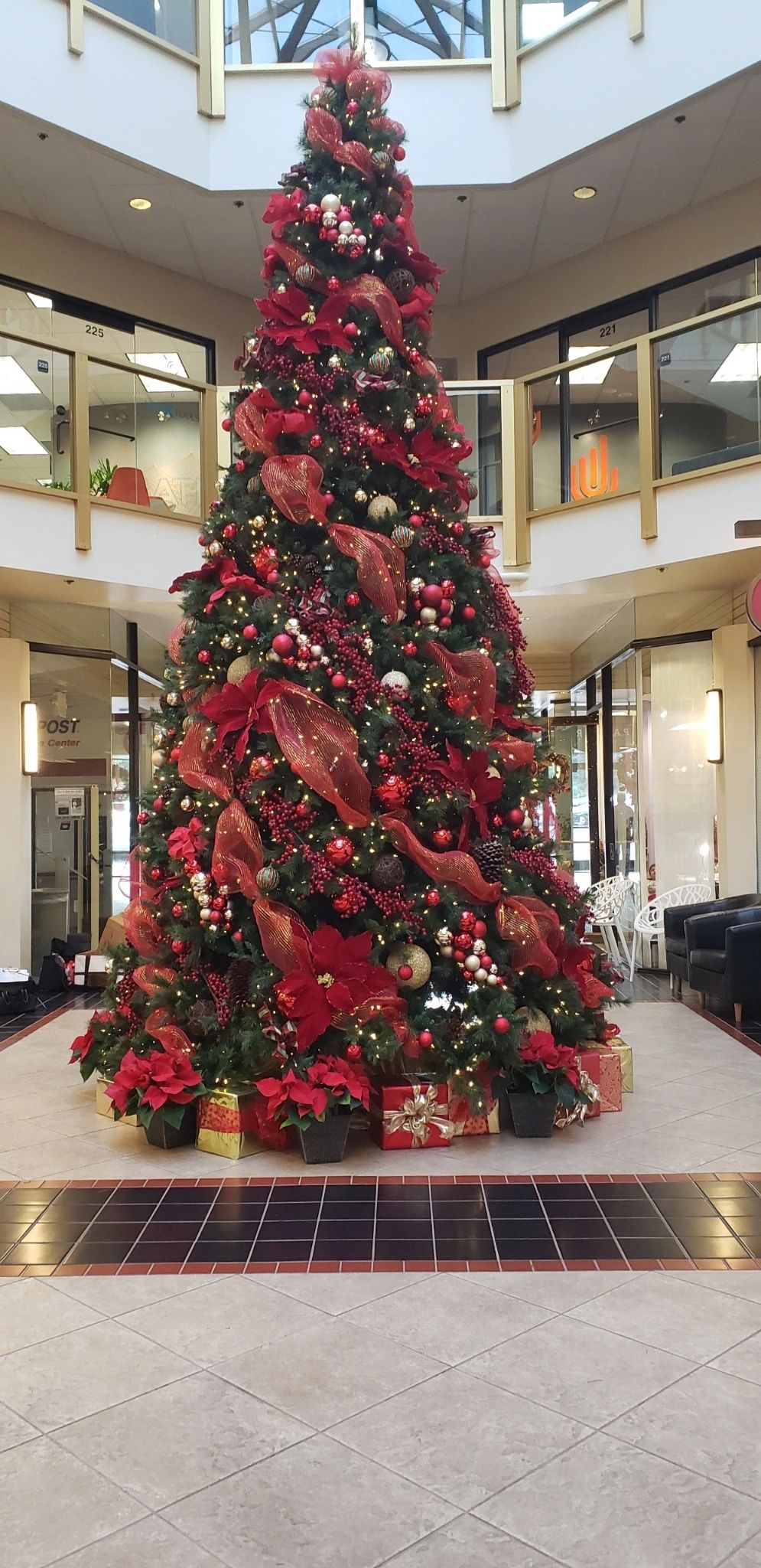 First Tree for the 2019 Holiday Is Up!