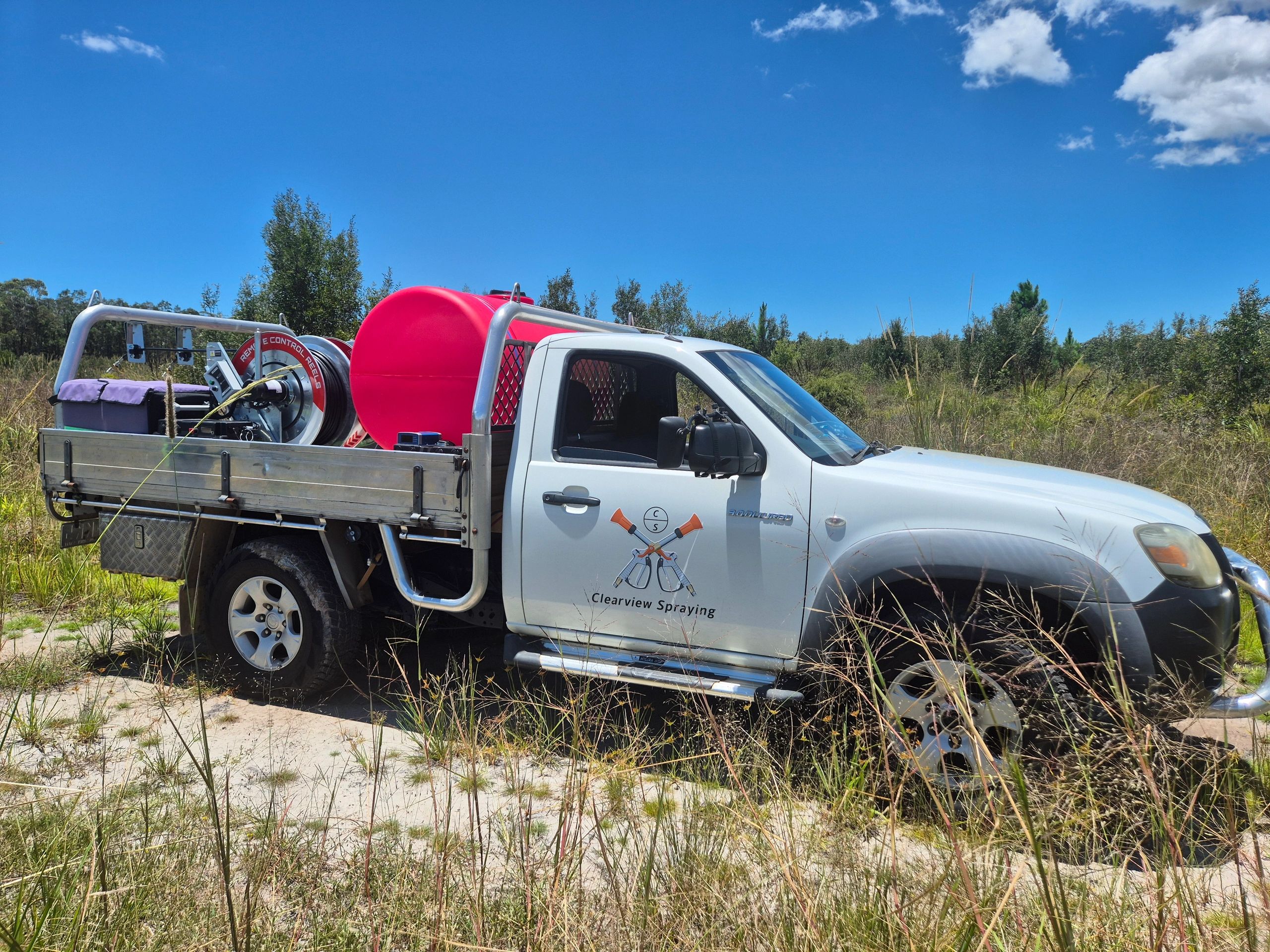 Lantana Spraying Services for Effective Invasive Plant and weed Control