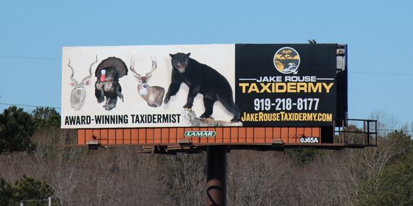 Jake Rouse Taxidermy - Home