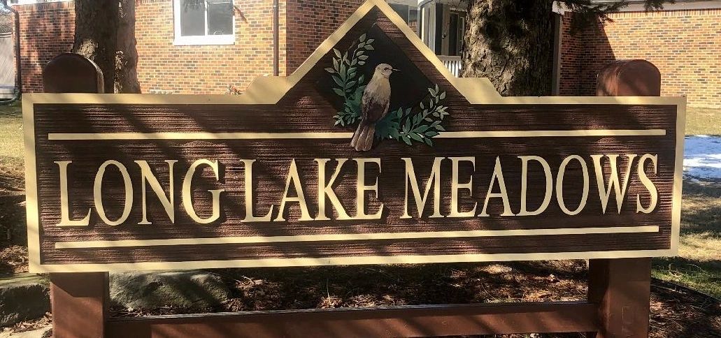 Long Lake Meadows / Spring Meadows