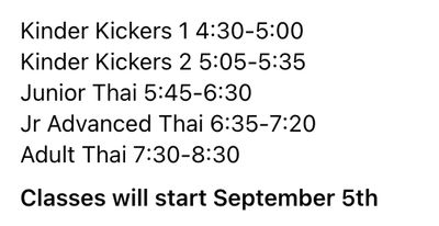 Muay Thai - Des Moines Metro Martial Arts