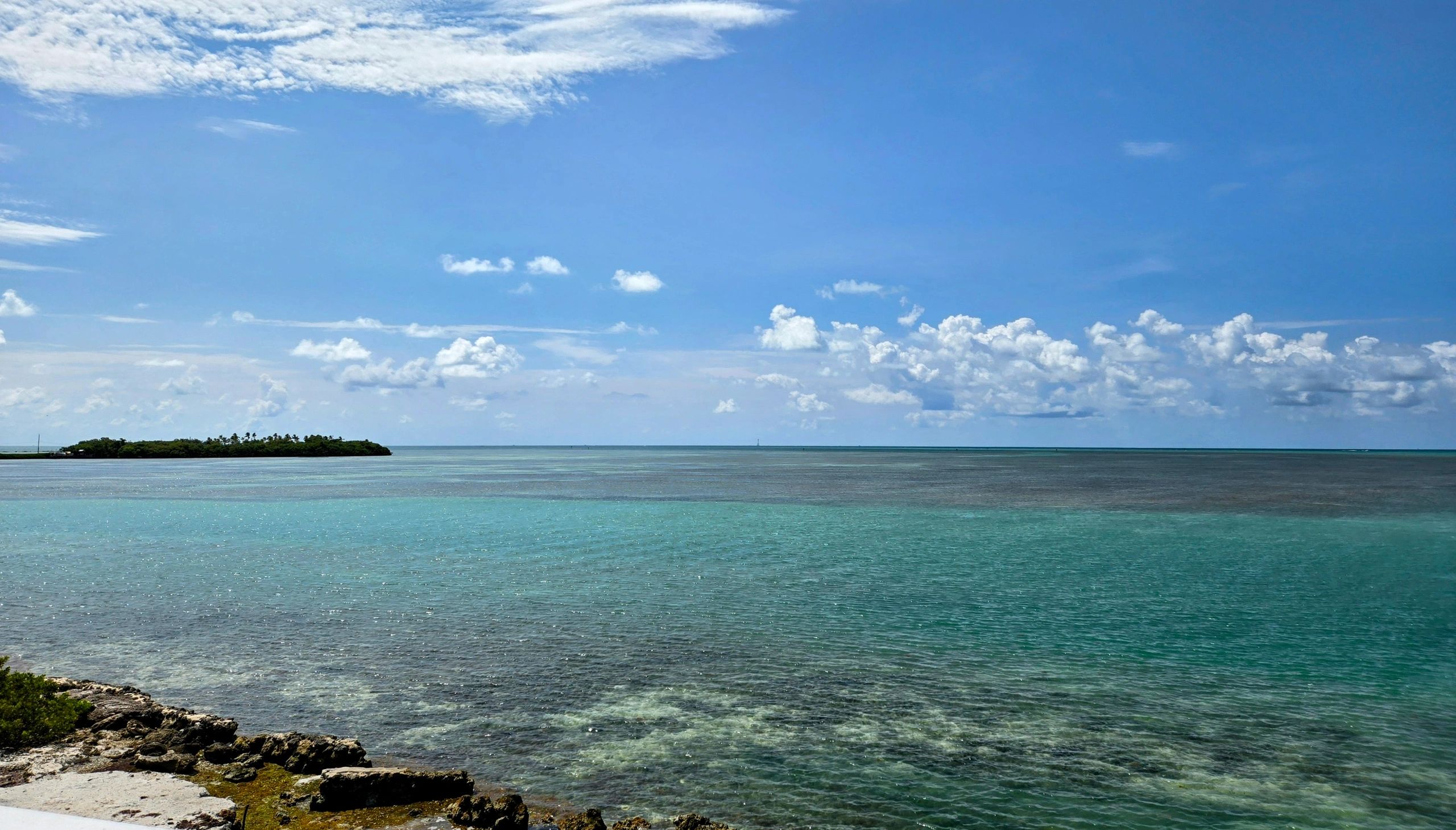 Florida | Flip Flops Five Stars