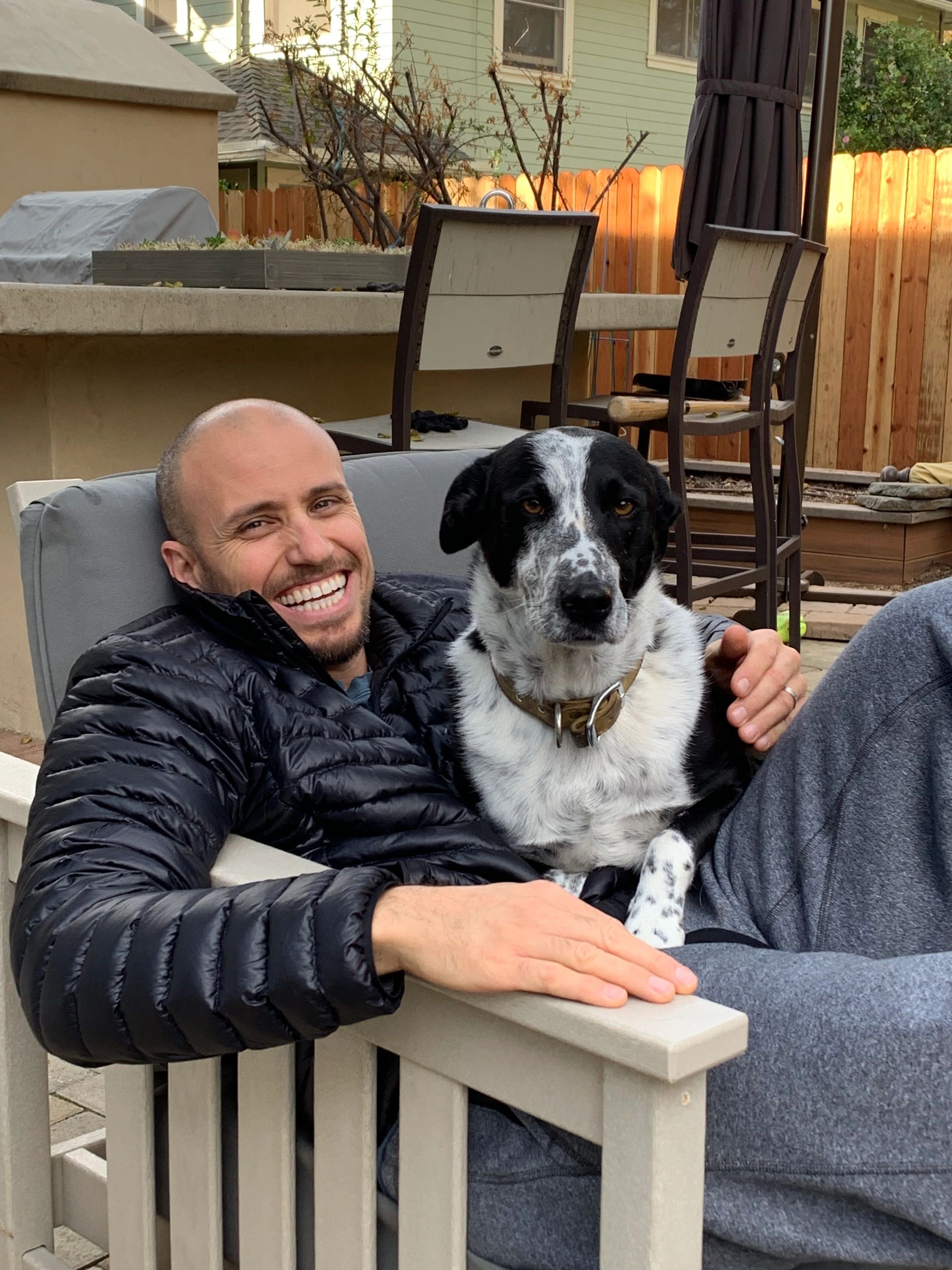 Veterinarian - Dr. Berg, Veterinarian