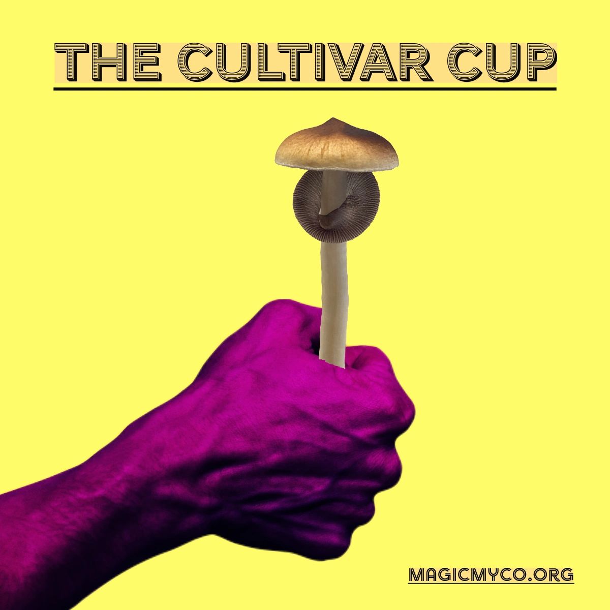 Invitation to Enter the Cultivar Cup – Showcase Your Best Strains