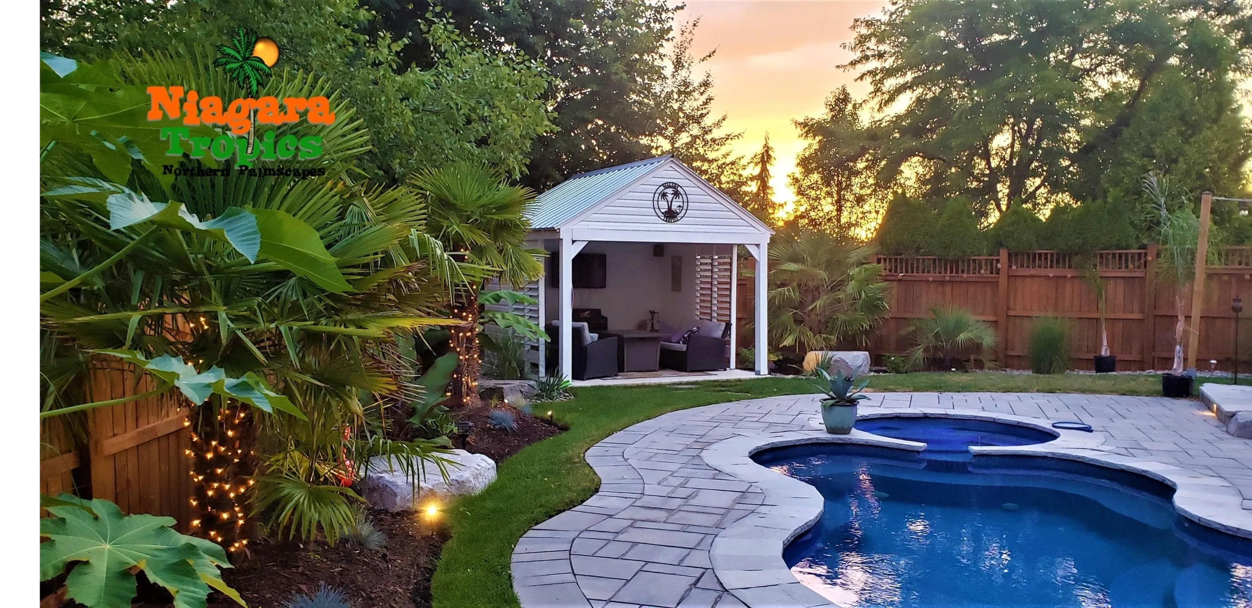 Canada Palm Growing Guide: Tips from Niagara Tropics