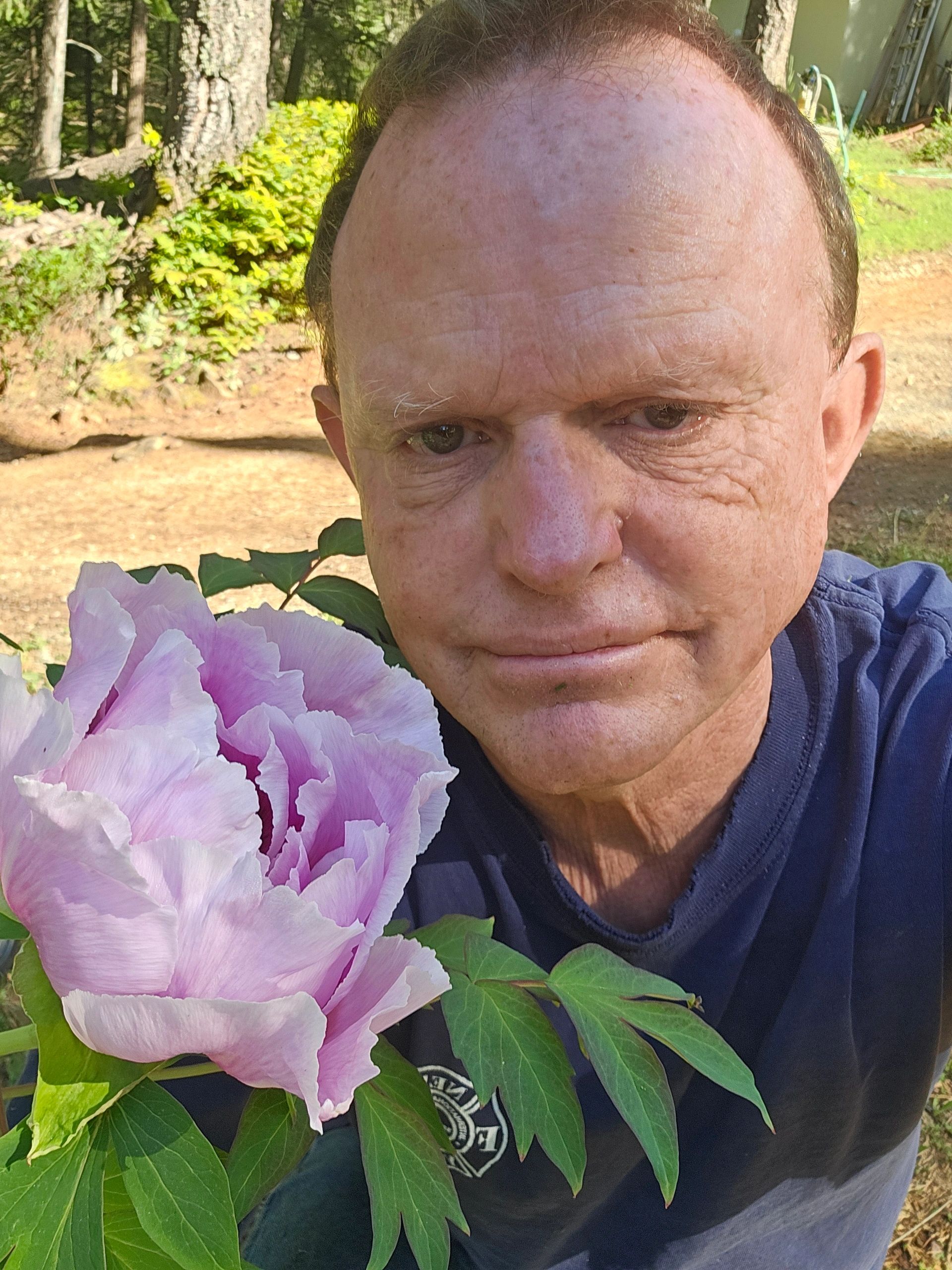 The tree peonies are starting to bloom.