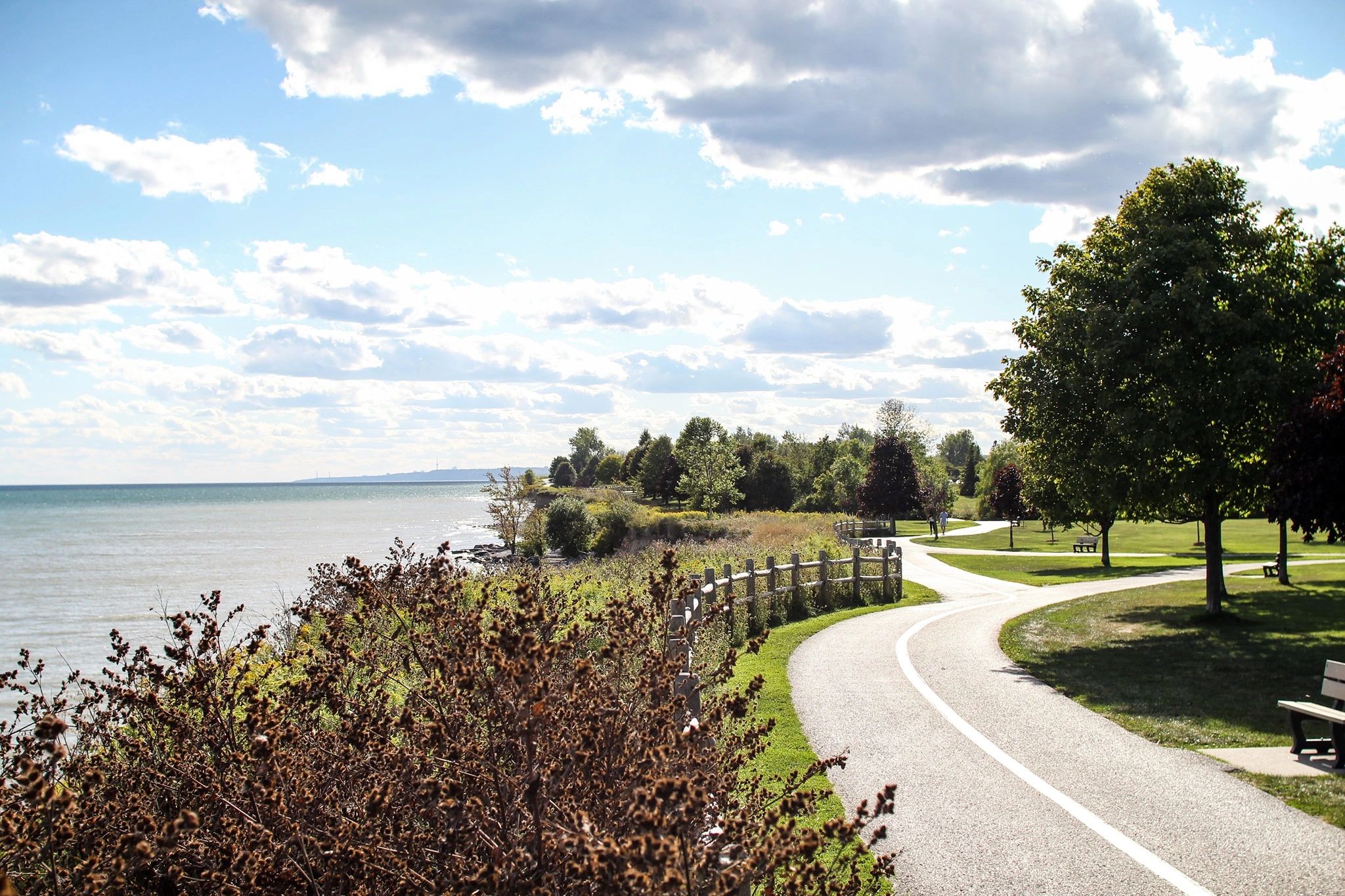 Cupe Local 54 - Home