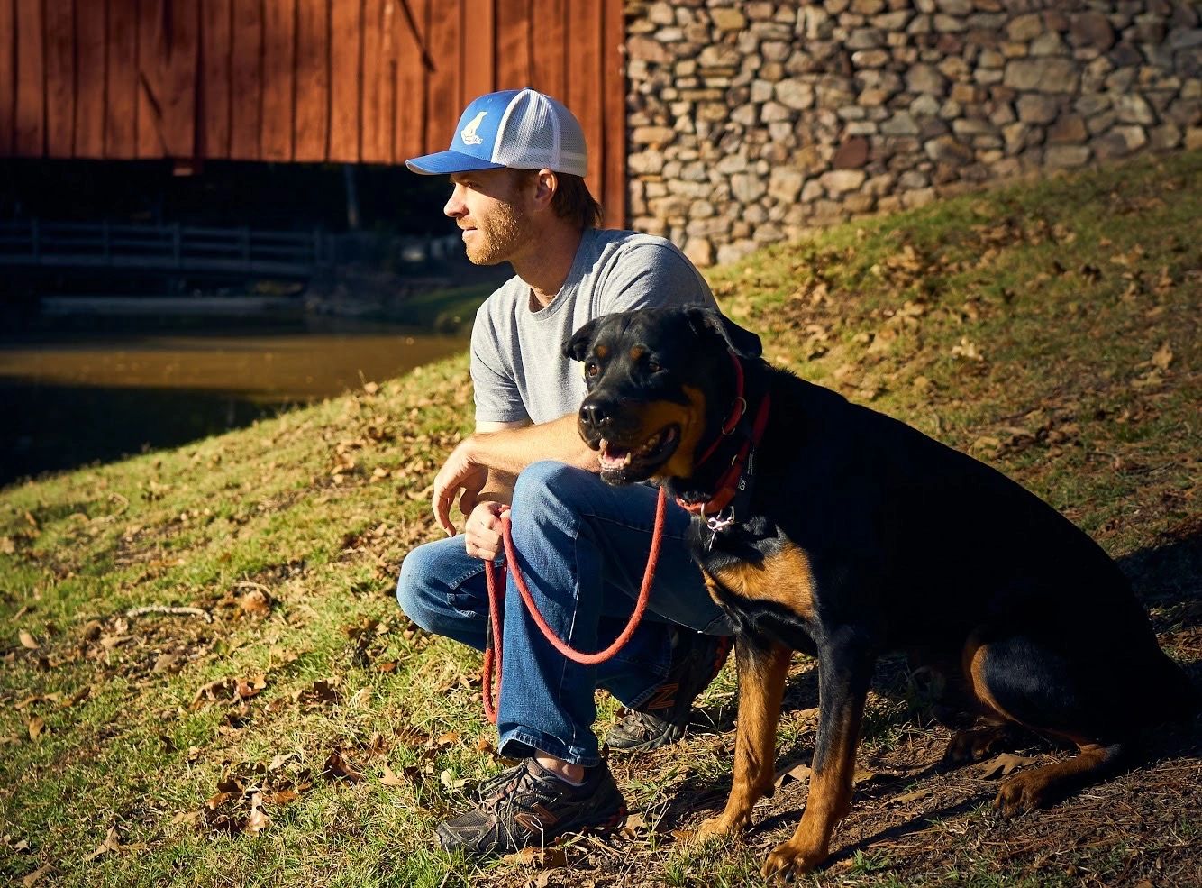 Natural State Dog Training