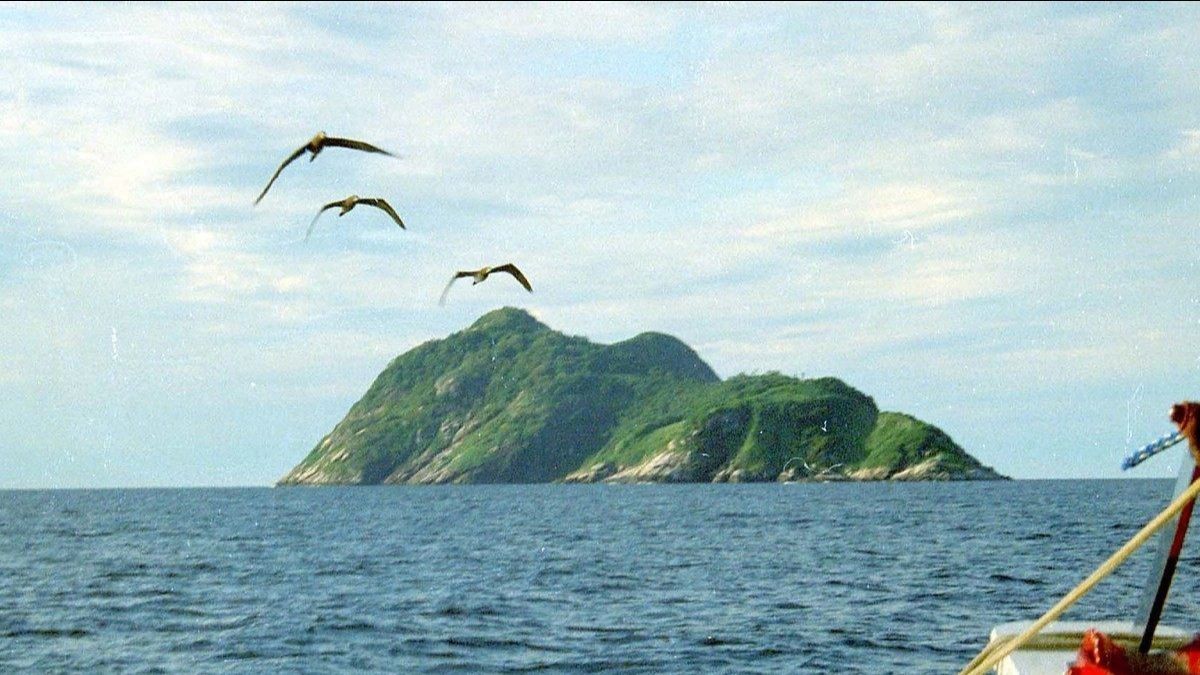 Brazil's Snake Island (Ilha da Queimada Grande)
