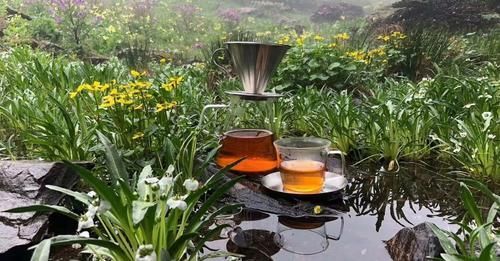 Tea_Acadamy-茶学院