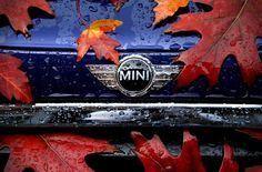 OPEN ROAD MINI PARTS