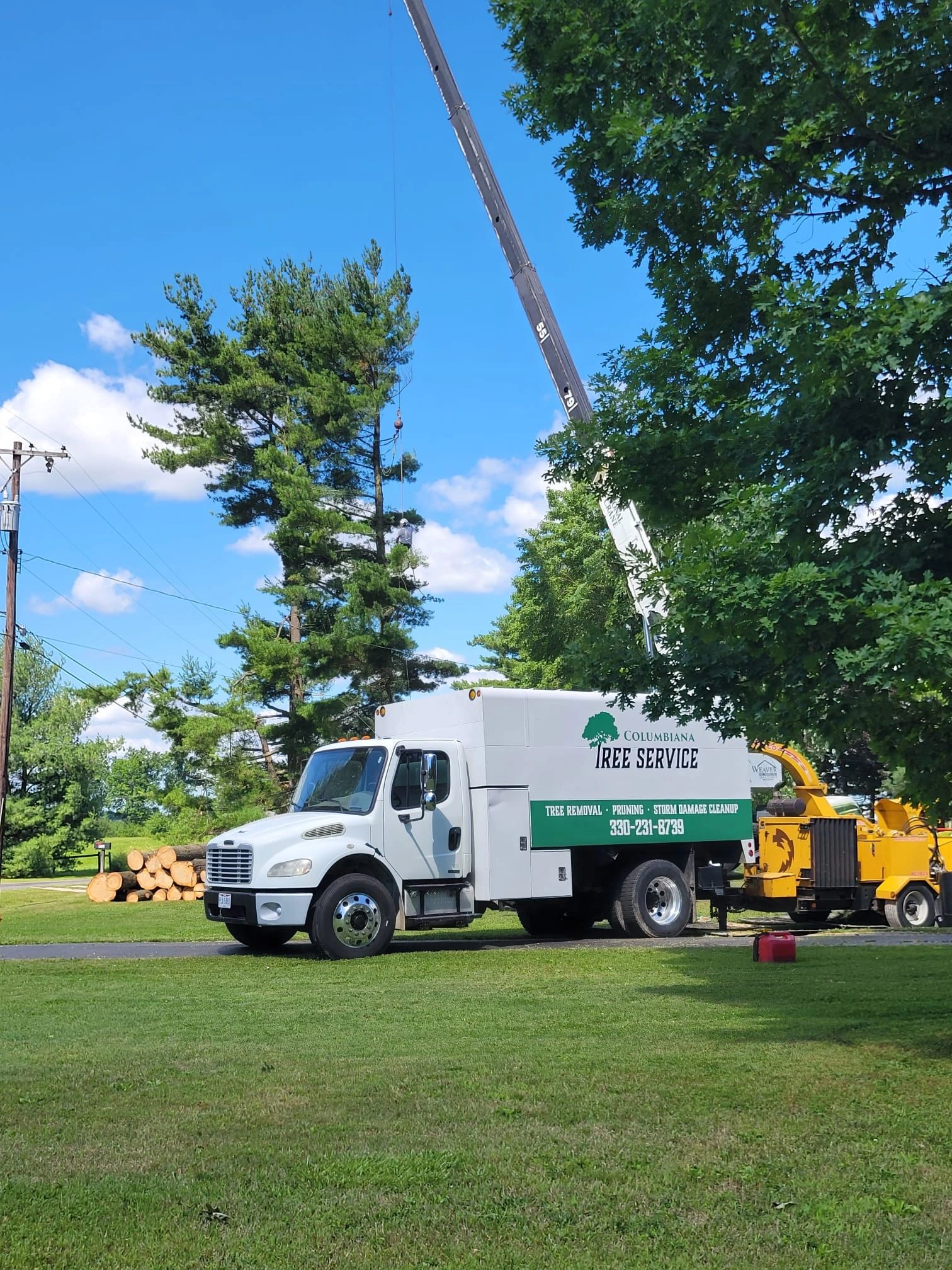 Top Residential Tree Service | Columbiana Tree Service