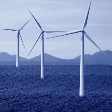 Windblown | Windblown Communications