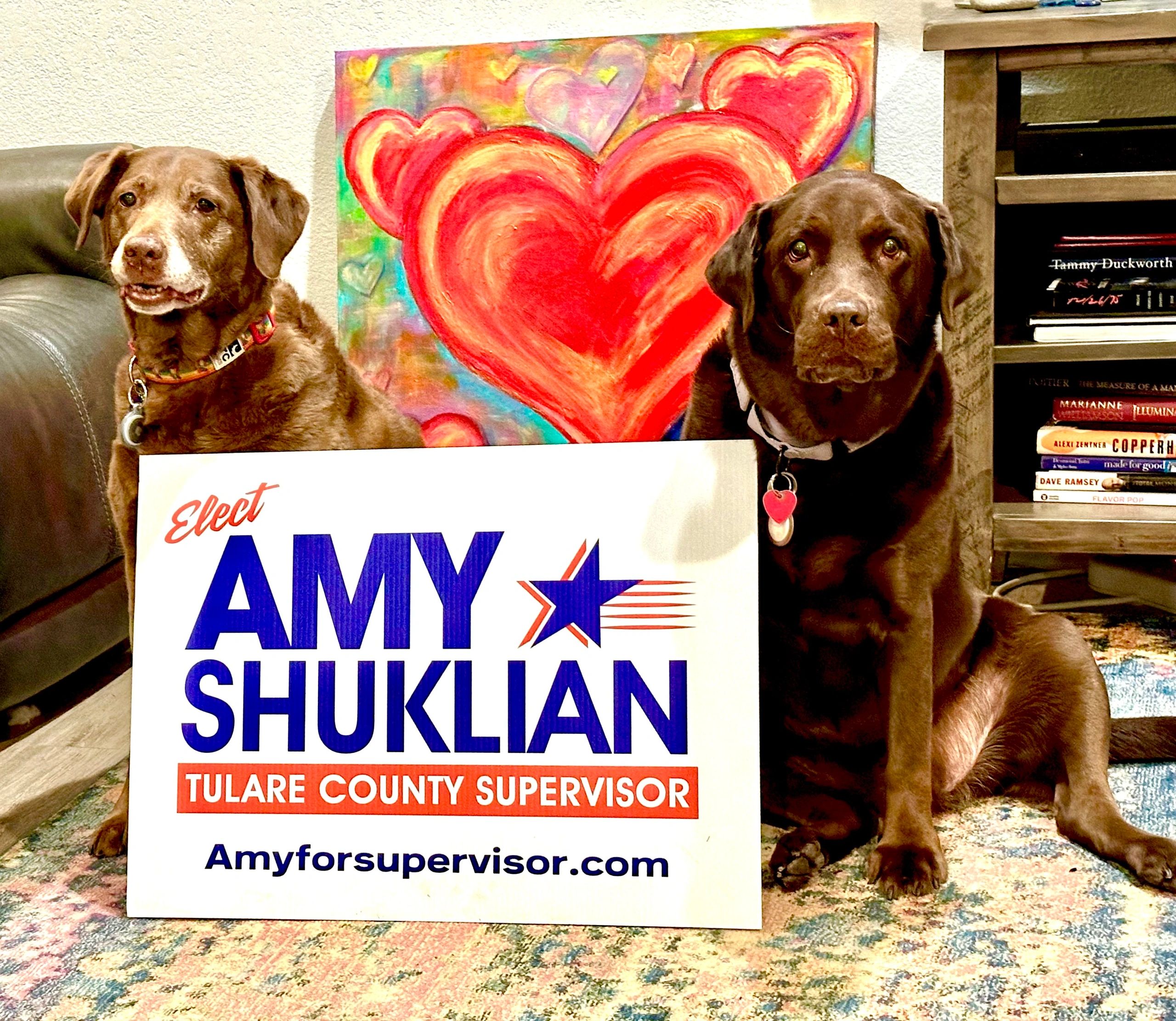 Shuklian for Supervisor