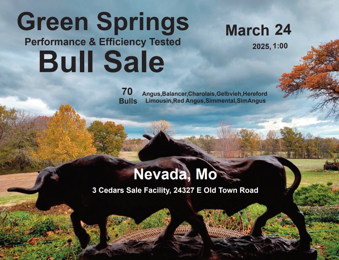 2025 Spring Bull Test | Green Springs Bull Test
