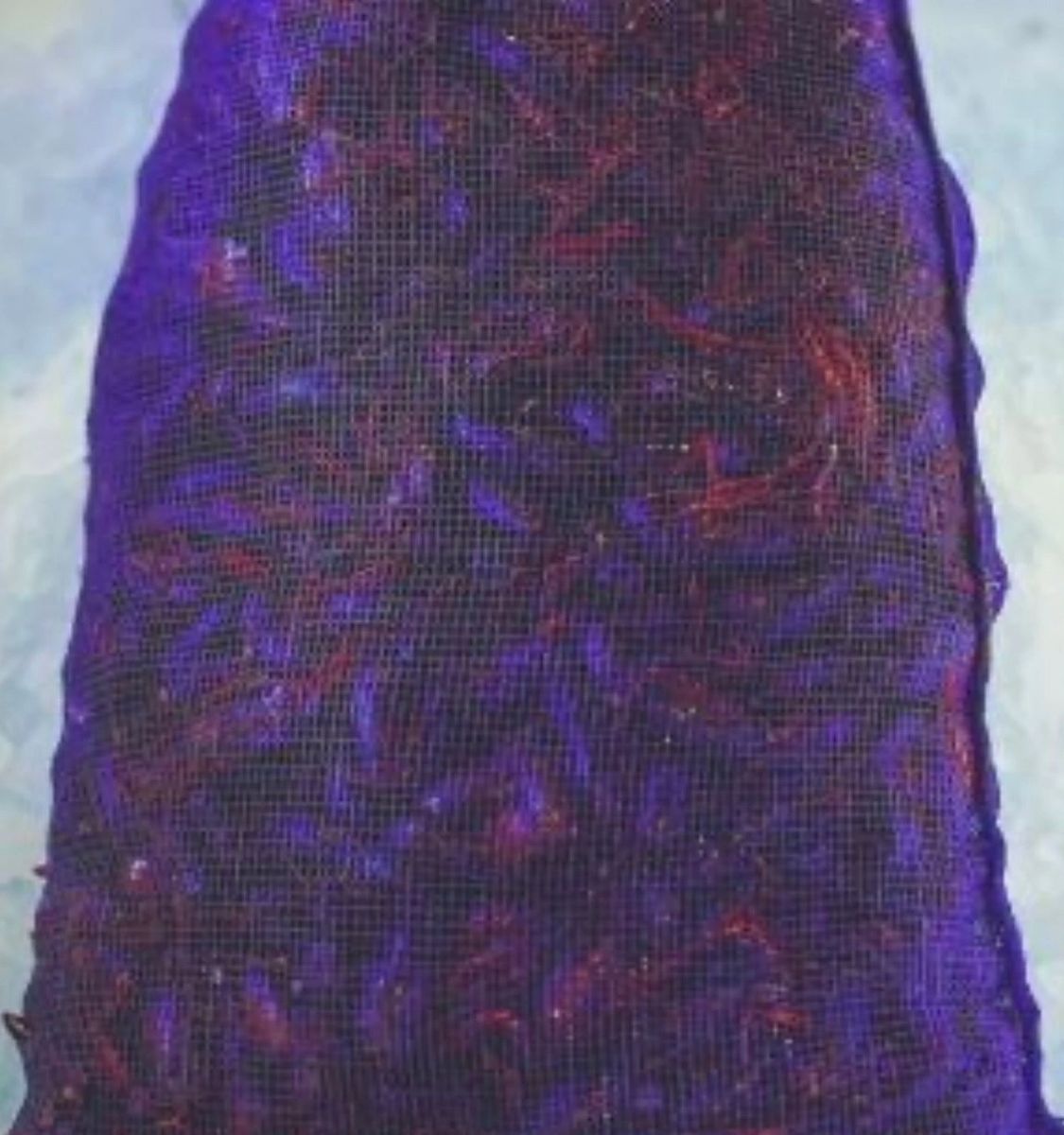 Live Crawfish Sack Or 20# Or More Boiled Crawfish Reservations