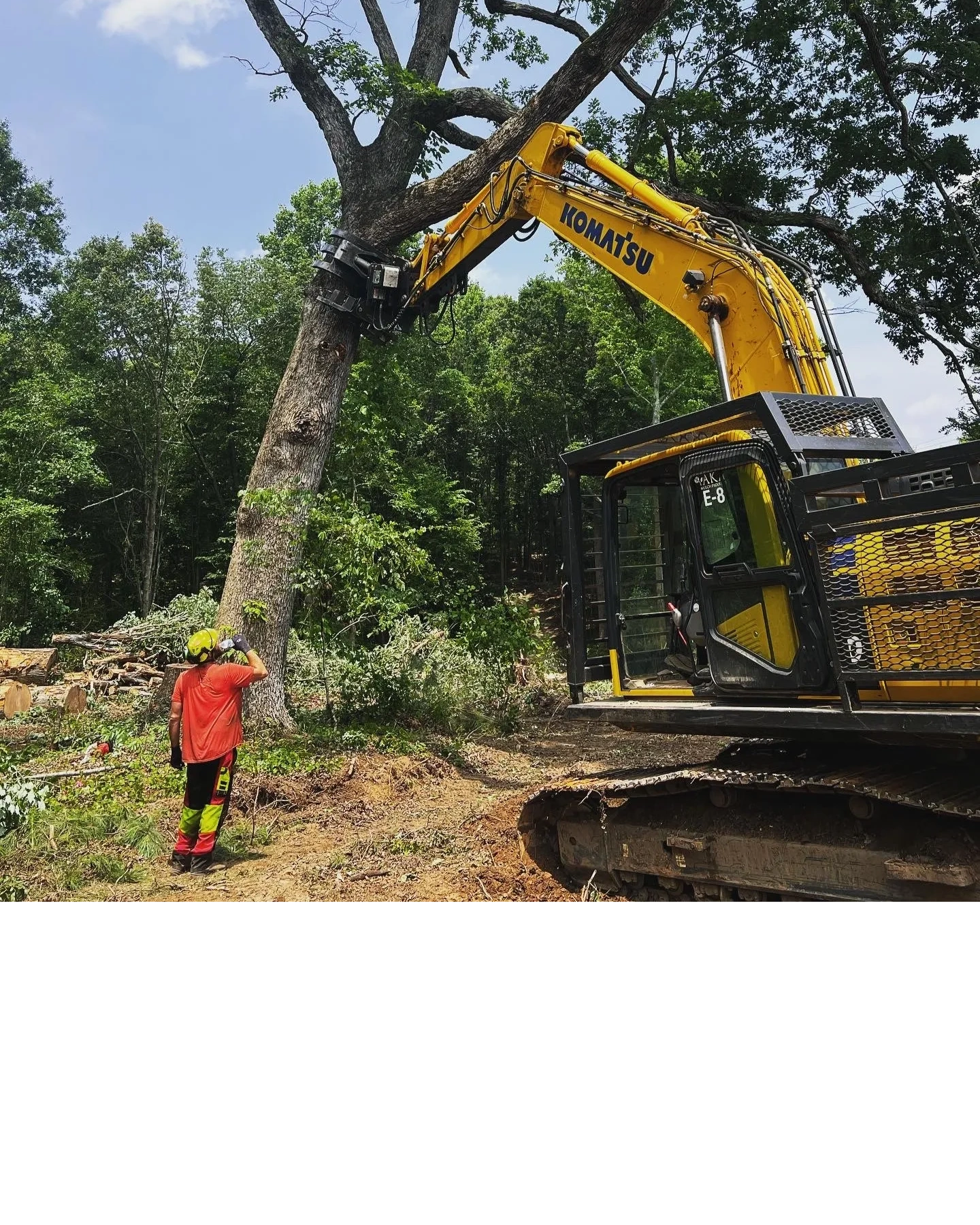 Take 'Em Down Tree Experts - Expert Tree Care, Safely Done